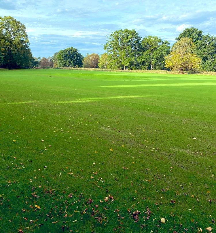 Sports Pitch Construction - Woodward Turf Care Ltd